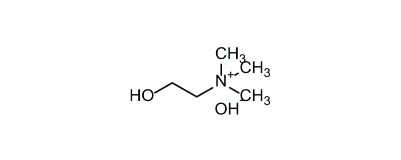 CHOLINE HYDROXIDE SOLUTION ,45% IN METHANOL | CHEM-IS-TRY, Inc.
